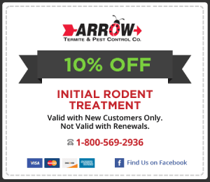 AC_Coupon_E_011-300x260 - Arrow Termite & Pest Control
