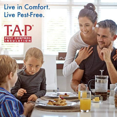 The Green Pest Control Solution and Energy Saver - TAP Attic Insulation