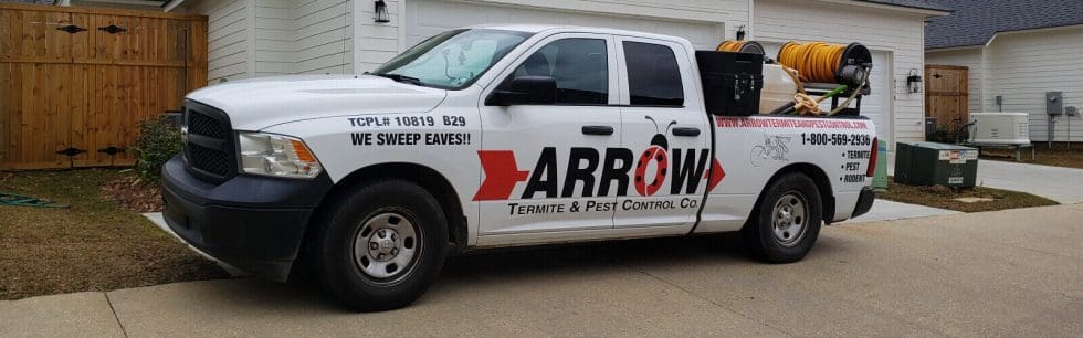 Your Guide to Summer Pests - Arrow Termite and Pest Control