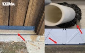 Rodent Control Baton Rouge LA | Rodent Exterminators