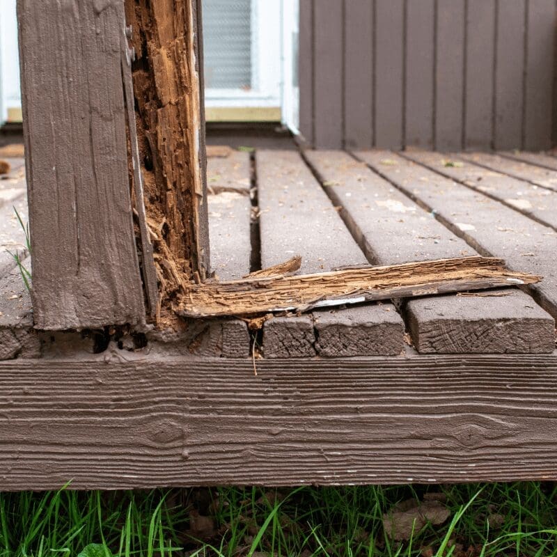 Getting Termite Inspection For Home Baton Rouge Arrow Termite And Pest ...