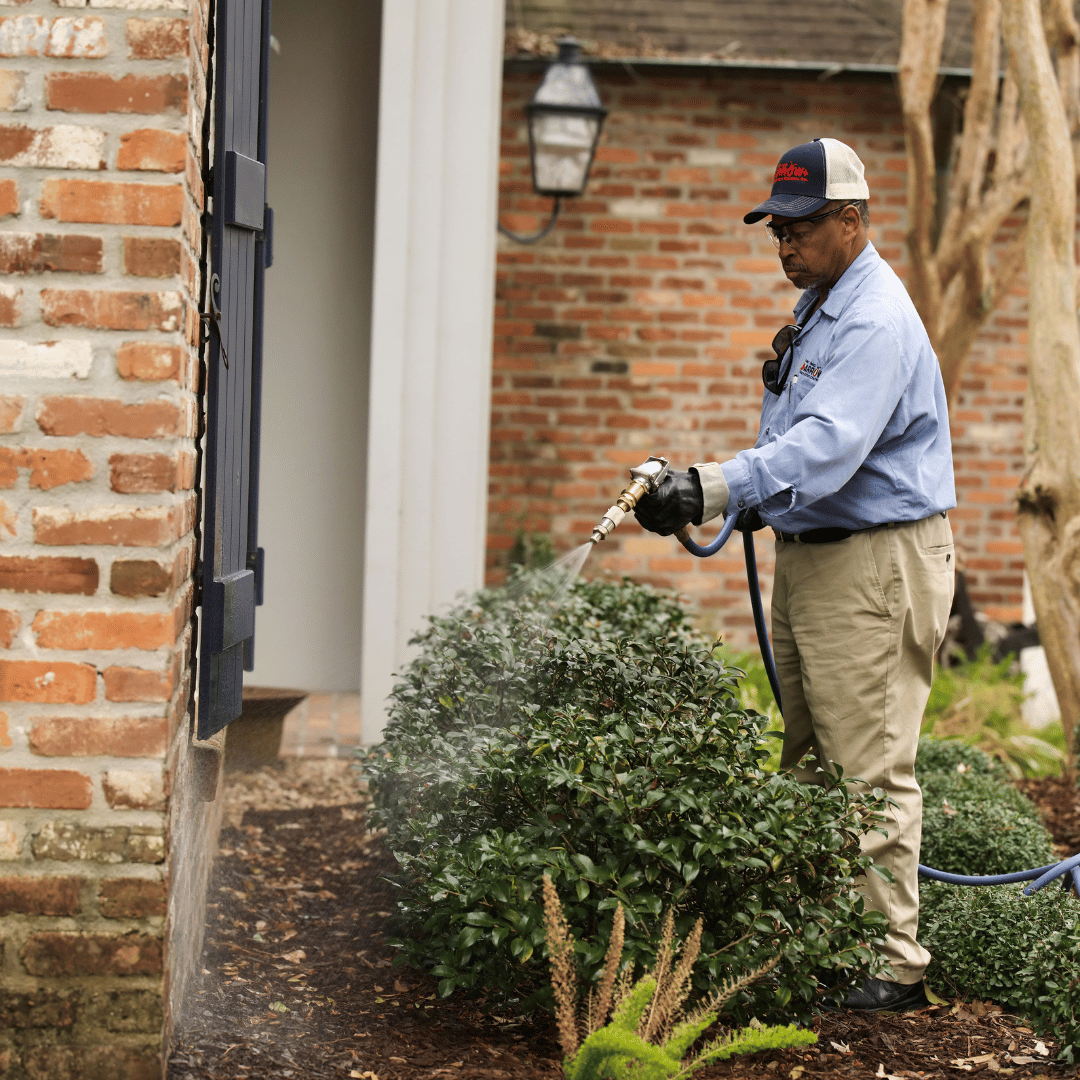 Fire Ant Control Program - Arrow Termite & Pest Control