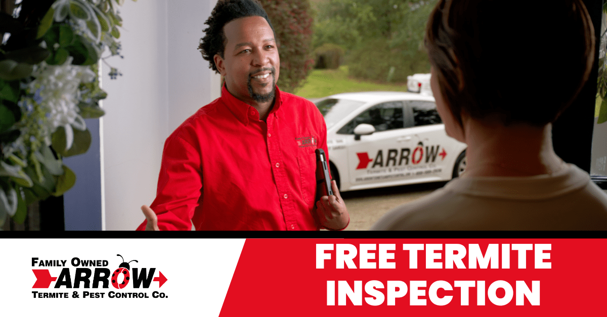 Get a Free Termite Inspection - Arrow Termite & Pest Control