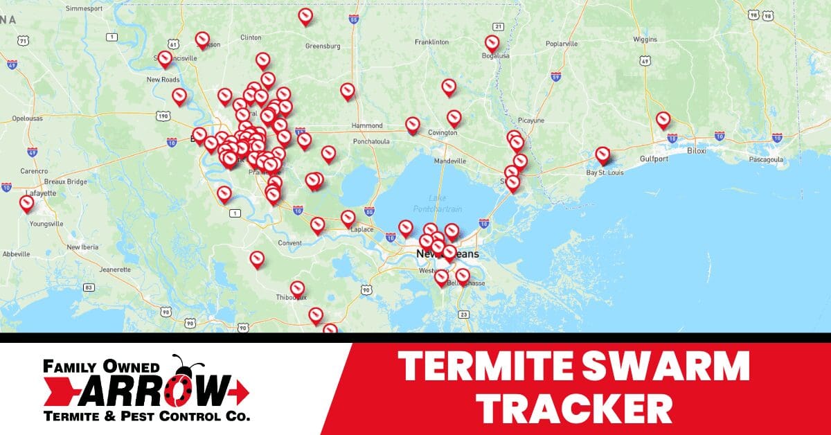 Louisiana Termite Swarm Map - Swarm Tracker - Report a Swarm